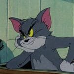 Thomas "Tom" Jasper | Cats of the Web